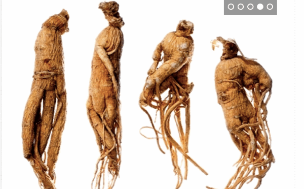 ginseng y sus beneficios | Tu Salud y Bienestar